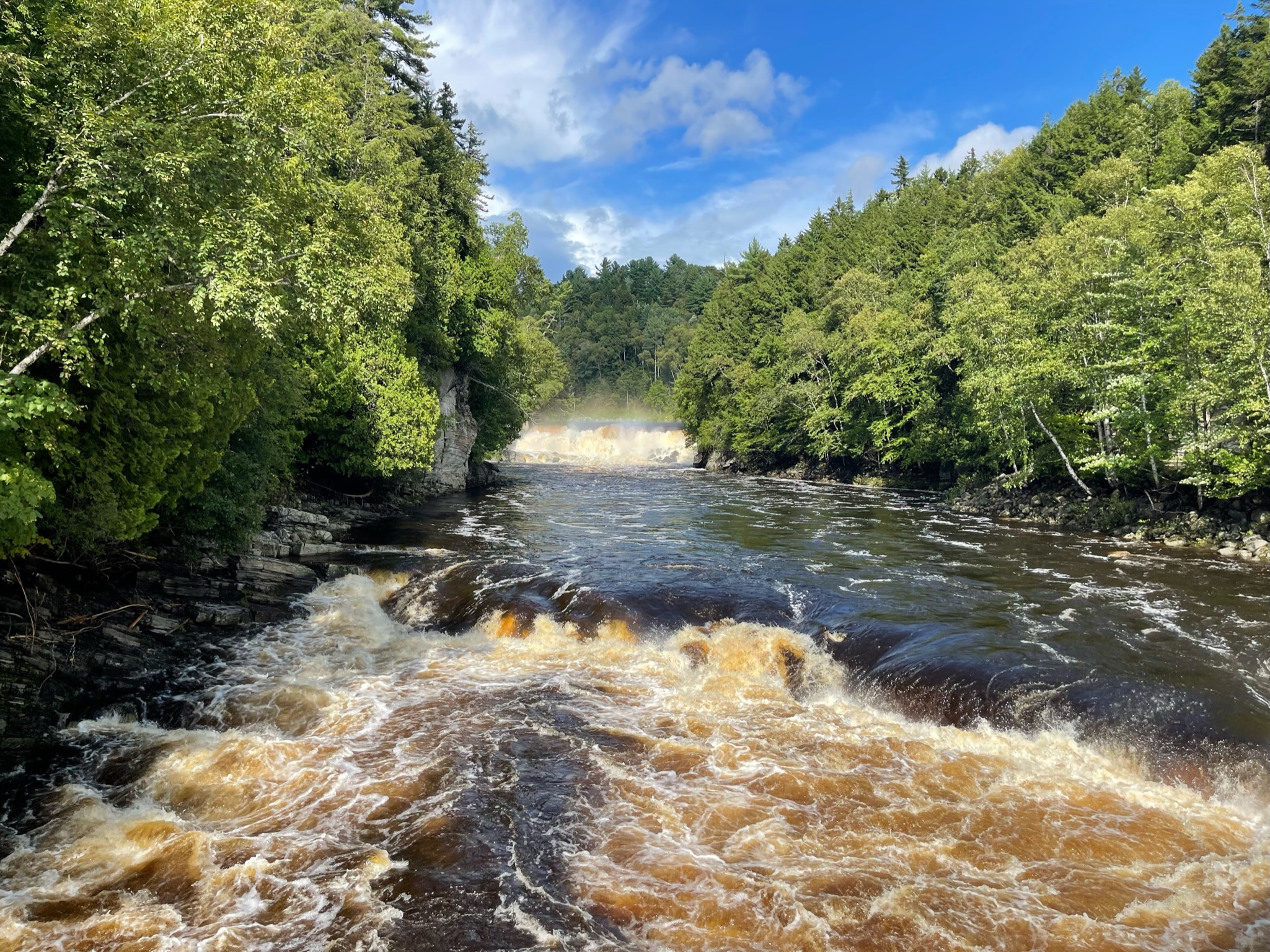 Flood Forecasting: The Significance of River Discharge Forecasts